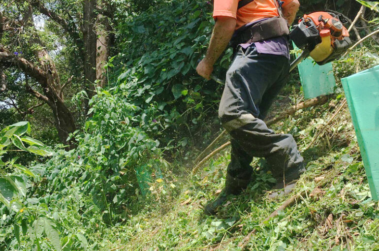 Weed and Long Grass Clearing - Eco Clear & Plant