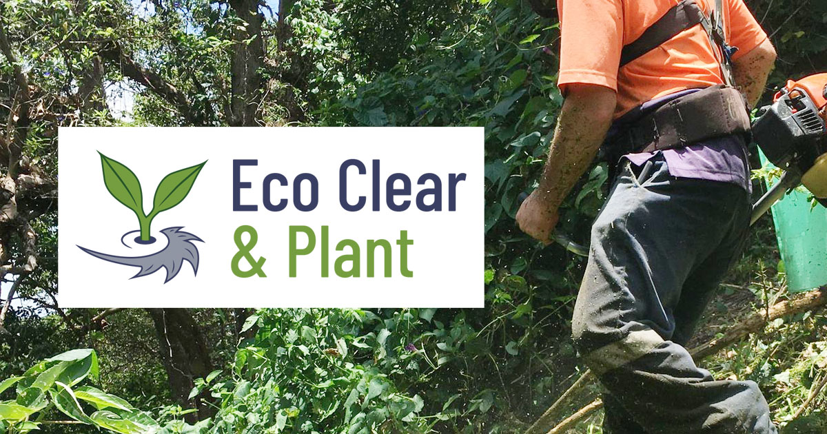 See Examples Of Our Work - Eco Clear & Plant